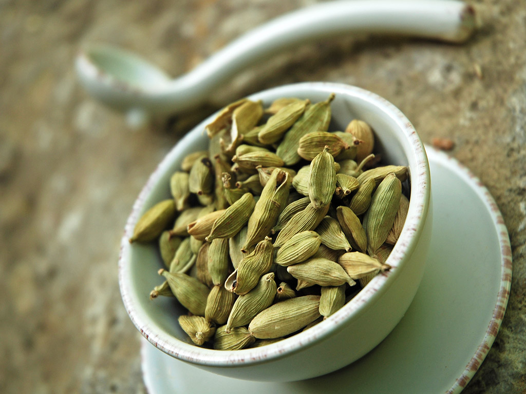 Kleines Lexikon der Heilpflanzen & Gewürze: Kardamom - Ayurveda ...