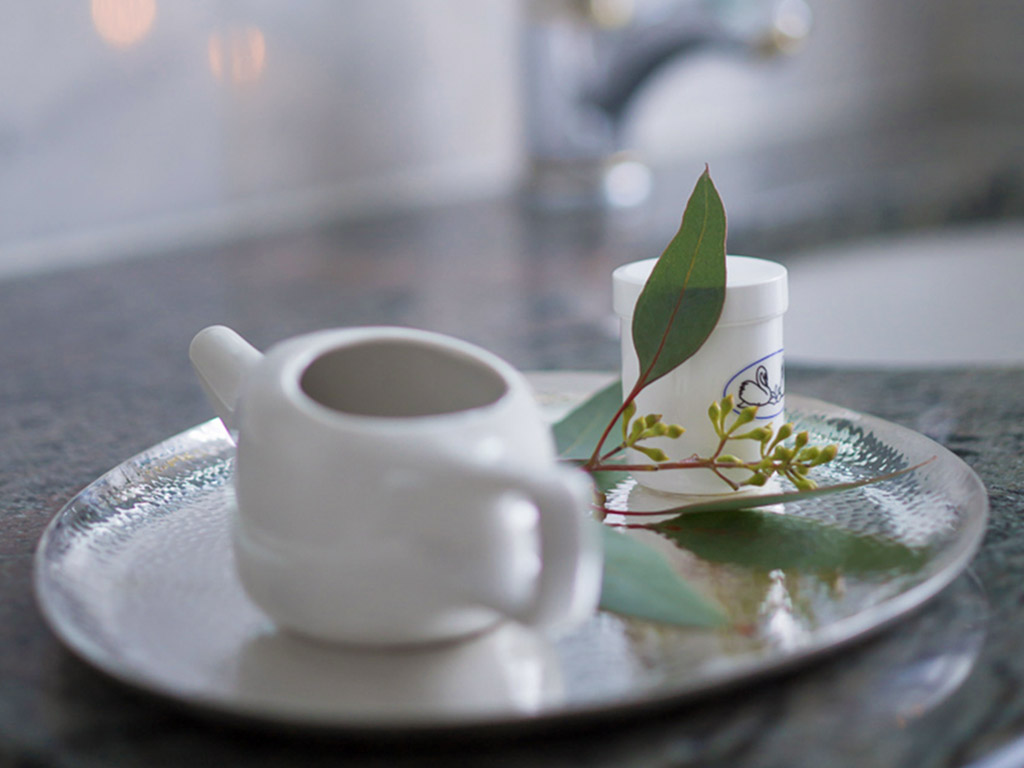 Jala Neti - Die traditionelle Nasenspülung - Ayurveda Parkschlösschen ...